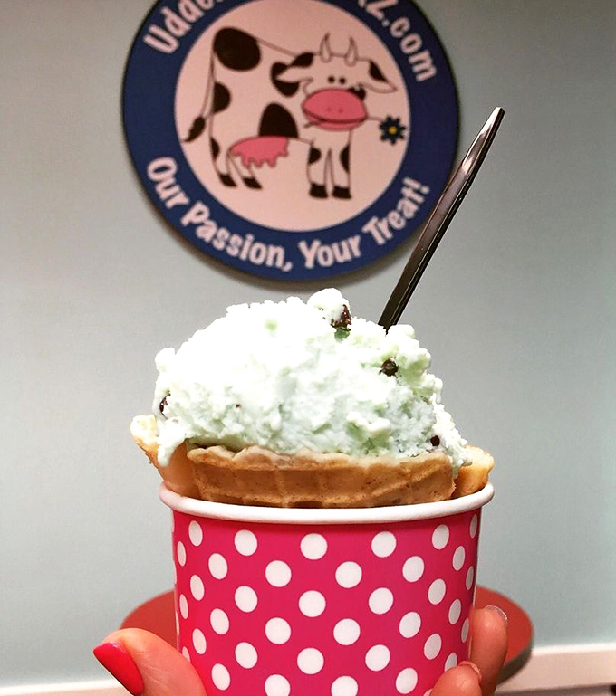 Mint chocolate chip that actually tastes like fresh mint leaves, not toothpaste. The kind of scoop that makes adults reminisce about childhood summers.