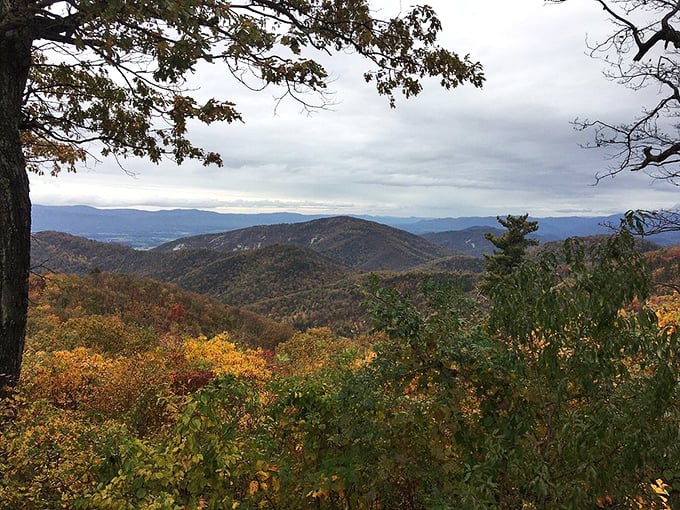 Mountains ripple into the distance like waves frozen in time. From this vantage point, everyday worries seem as small as the towns below.