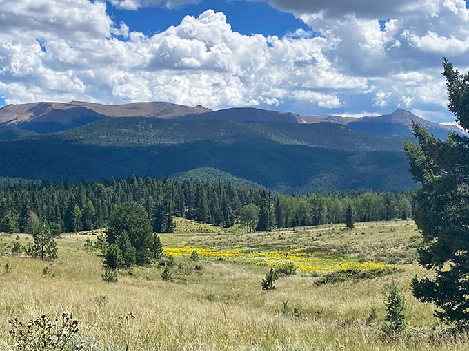 Colorado's version of a layered cake: golden meadows, emerald forests, and snow-dusted peaks, all served under a dome of impossibly blue sky.