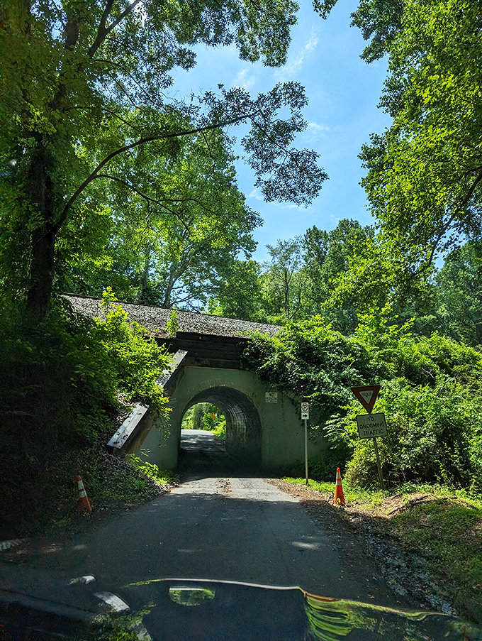 Nature reclaims what man builds. The lush Virginia greenery frames the bridge like Mother Nature's attempt to hide a secret.