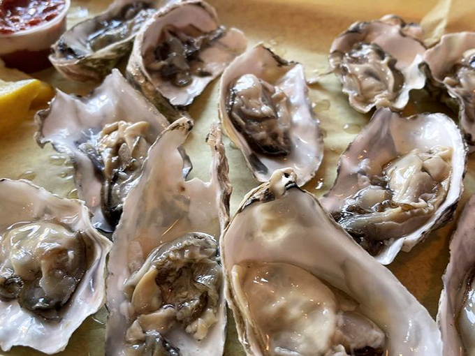 Nature's perfect appetizer requires no culinary intervention. These glistening oysters on the half shell are the ocean's purest expression—just add a squeeze of lemon and savor.