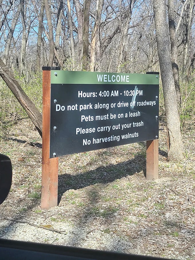 Rules of the woods: Early birds get the worms and the sunrise. No walnut harvesting means more for those industrious squirrels I mentioned.