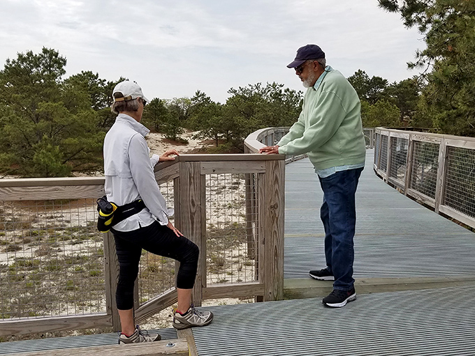 Pause points along the boardwalk invite trail-goers to linger and learn, turning a simple hike into an educational expedition through Delaware's coastal ecosystems.