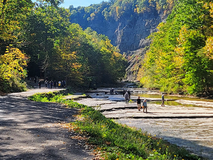 Families and nature enthusiasts explore the creek bed during low water, where every stone holds a million-year history lesson better than any textbook.