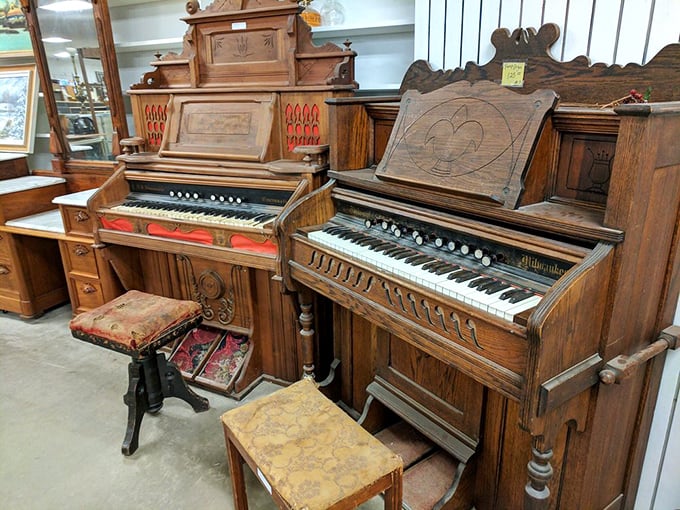 These antique pianos aren't just musical instruments; they're time machines to parlors where families gathered before television stole our evenings.