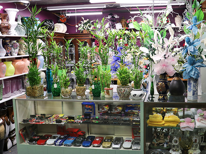 The plant section blooms with life amid collectible cars. Here, green thumbs find new additions while nostalgia seekers score miniature automobiles.