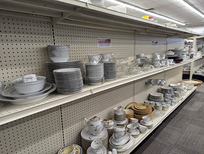 Dish paradise! Complete your mismatched collection or start a whole new dining aesthetic without breaking the bank.