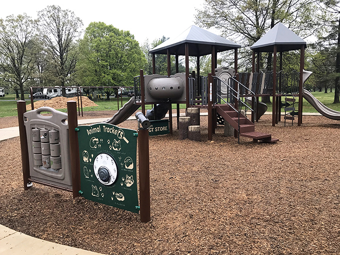 Childhood memories in the making. This playground offers the perfect intermission between hiking adventures and marshmallow roasting sessions.