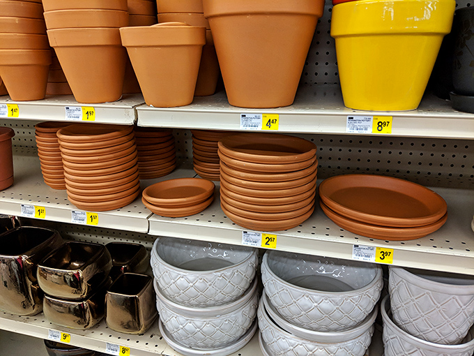 Terra cotta heaven! Garden pots in every size imaginable await your green thumb ambitions, from modest herbs to statement plants. 
