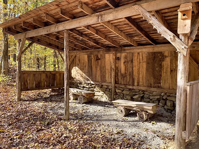 This hand-crafted woodland shelter could be a movie set, but it's actually a functional rest stop where pioneers once worked.