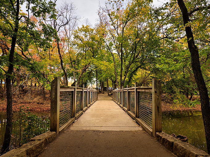 Some bridges connect more than just physical spaces. This autumn-kissed walkway invites visitors to cross from the everyday into something magical.