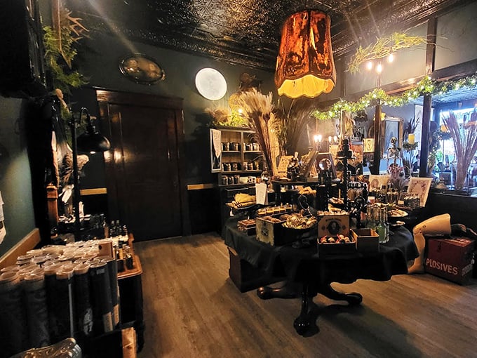Amber lighting casts a warm glow over carefully arranged displays, where vintage lamps and dried botanicals transform shopping into a journey through a cabinet of forgotten wonders.