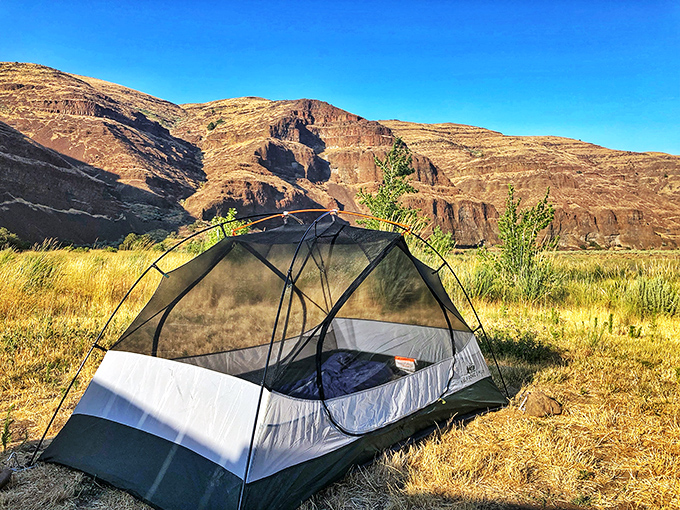 Five-star accommodations, desert style. This tent spot offers million-dollar views that no luxury resort could match&mdash;just bring your own turndown service. 
