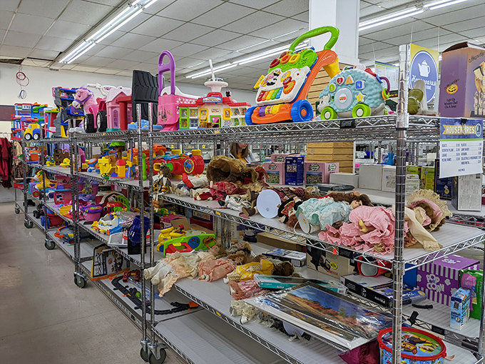 Toy paradise or plastic purgatory? These once-cherished playthings wait patiently for their next adventure with wide, hopeful eyes.