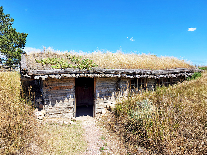 Downtown Chadron's historic storefronts tell tales of frontier commerce. These brick beauties have witnessed over a century of Nebraska life and still have stories to share. 