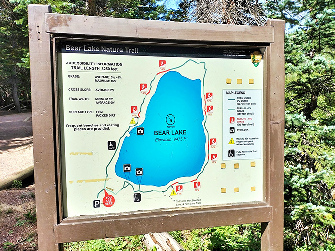 The trail map: spoiler alert for your wilderness adventure. At half a mile, it's the rare hike where your snacks might actually make it to the end.