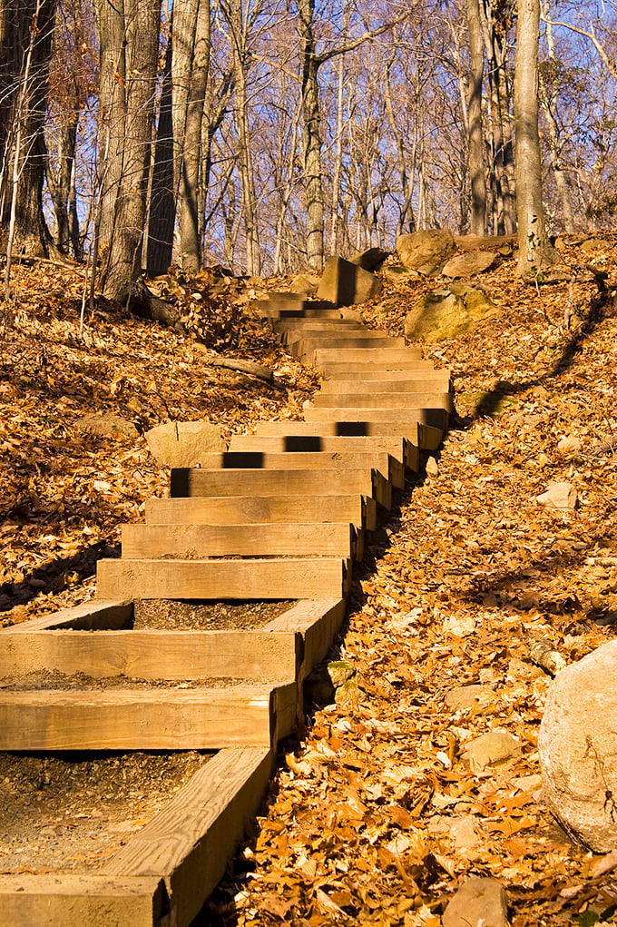 These wooden steps are Connecticut's stairway to heaven &ndash; less famous than Led Zeppelin's version but with significantly better views.