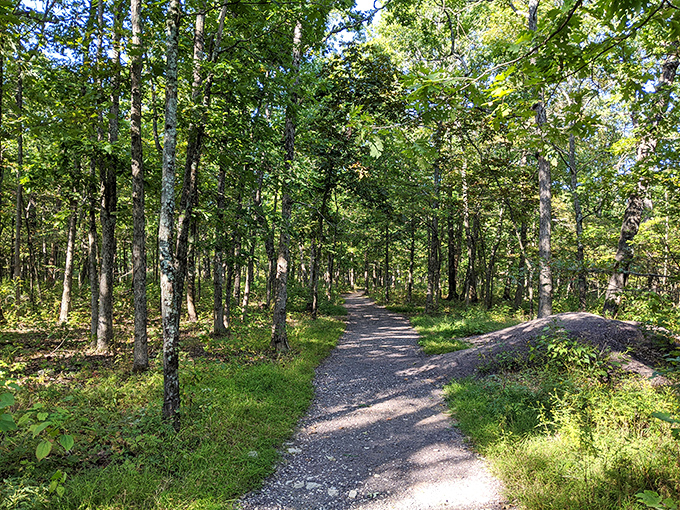 Nature's hallway invites you deeper into its embrace. This section of trail offers merciful shade and the distinct feeling you've wandered into a Tolkien novel.