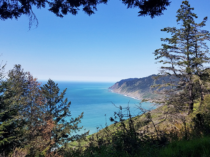 The Lost Coast's calling card: where turquoise waves massage dark sand shores under dramatic cliffs. Not a bad backdrop for life's big questions.