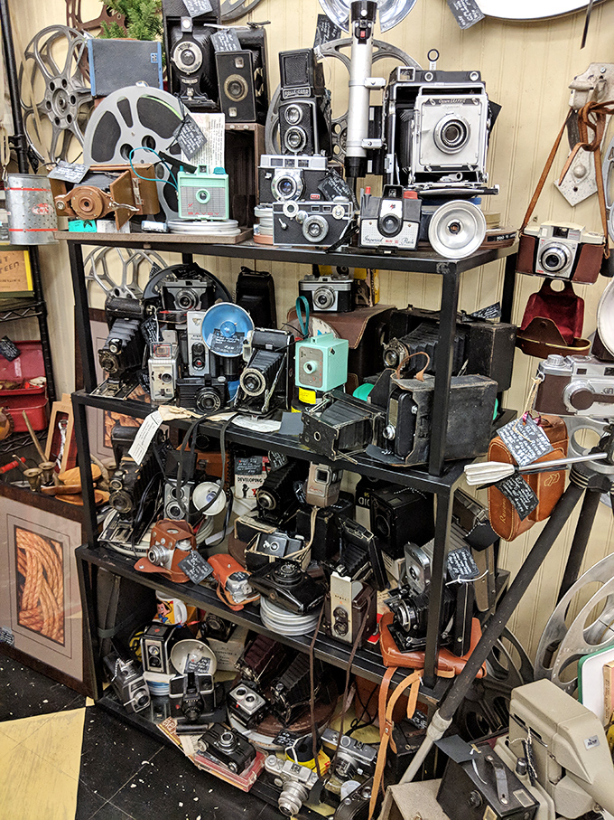 A photographer's dream or a time traveler's toolkit? This collection of vintage cameras has captured countless moments across decades&mdash;if only they could share their stories.