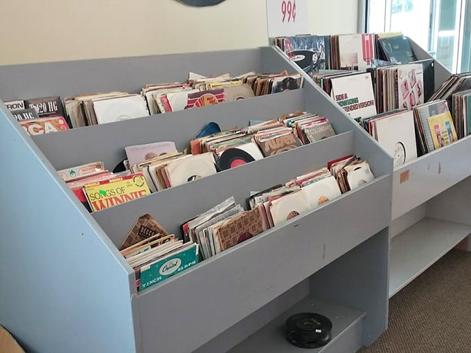 Vinyl collectors, rejoice! These bins of musical history might contain that one album you've been searching for since your turntable was cutting-edge technology.