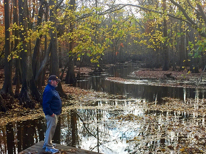 Autumn transforms the millpond into a contemplative paradise, where fallen leaves create nature's confetti on the water's surface.