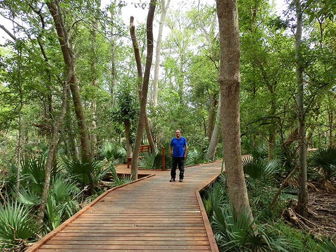 The boardwalk through dense palmetto stands feels like stepping into Jurassic Park minus the dinosaurs&mdash;though that rustling sound might make you double-check.