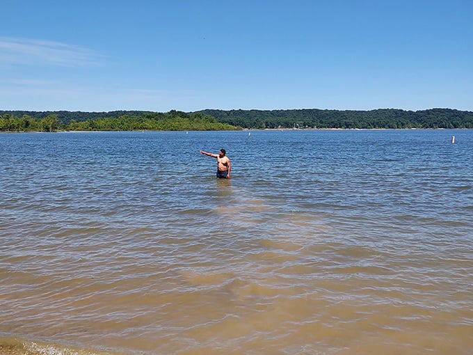 Where the water is so inviting that even the most dedicated land-dwellers find themselves wading in for an impromptu swimming lesson.