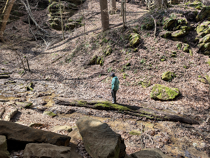 The scale of Shades' sandstone canyons hits you when you're standing at the bottom looking up, feeling wonderfully insignificant in nature's architecture.