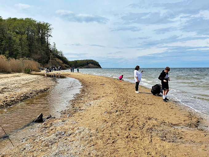 Beach hunters in their natural habitat, scanning the shoreline like modern-day archaeologists. The thrill of the hunt never gets old!