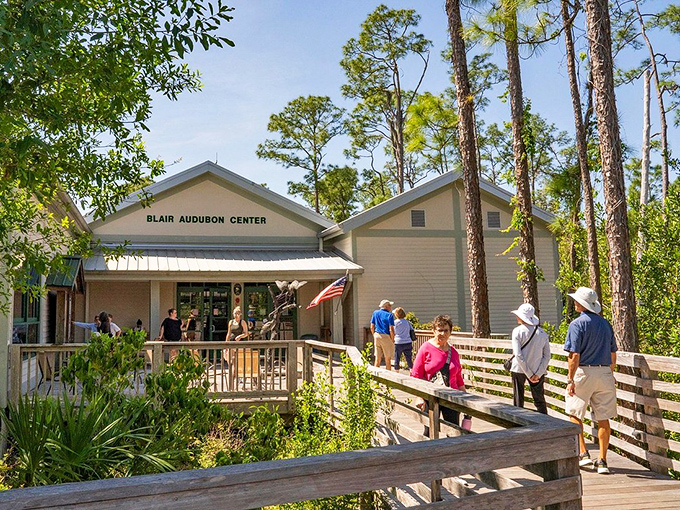 The Blair Audubon Center welcomes visitors with rustic charm, serving as the gateway to one of Florida's most precious ecosystems.