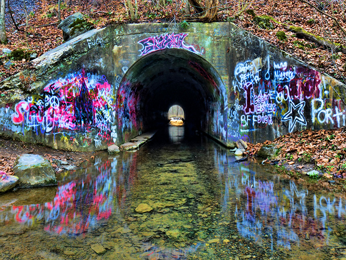 Nature reclaims what man abandoned. The tunnel's entrance frames a perfect postcard of Tennessee wilderness, complete with its own soundtrack of flowing water.
