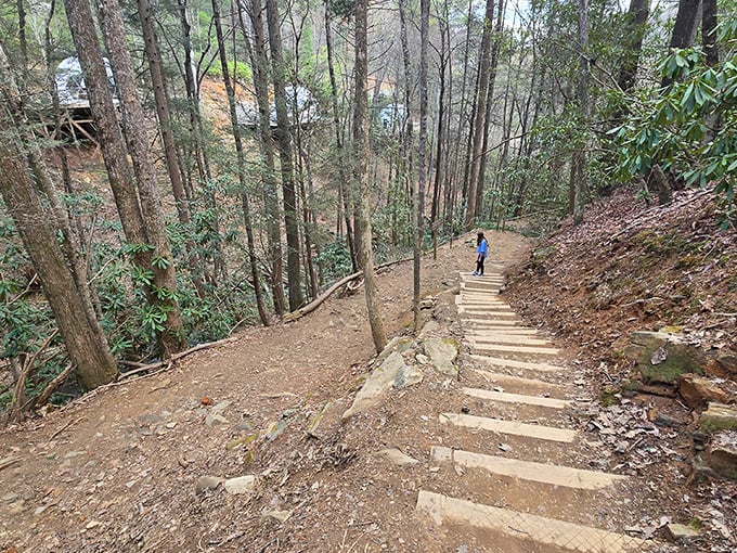 Stairway to heaven? Not quite, but these rustic wooden steps lead somewhere equally divine for nature lovers seeking woodland serenity.
