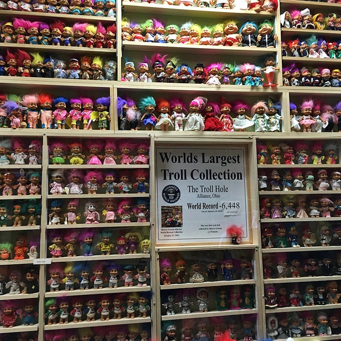 Behold the Guinness-certified proof of delightful obsession! When your collection reaches world-record status, you've officially crossed from "hobby" into "glorious madness" territory.