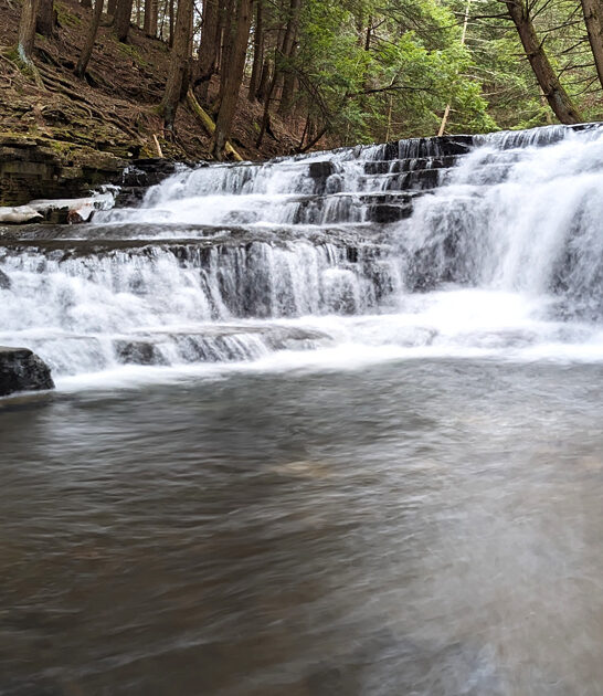 405 acre pennsylvania park ftr