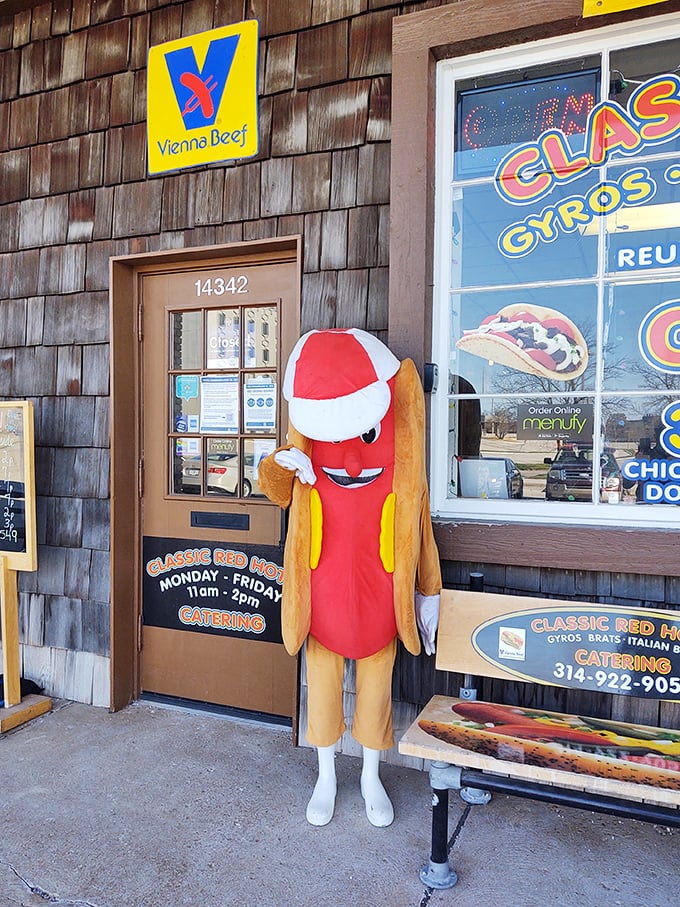 The hot dog mascot stands guard outside Classic Red Hots, silently promising Chicago-style bliss to all who enter.