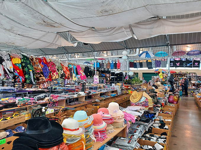 At Colorado Springs Flea Market, every umbrella marks a potential discovery. The thrill of the hunt under Colorado's famously blue skies!
