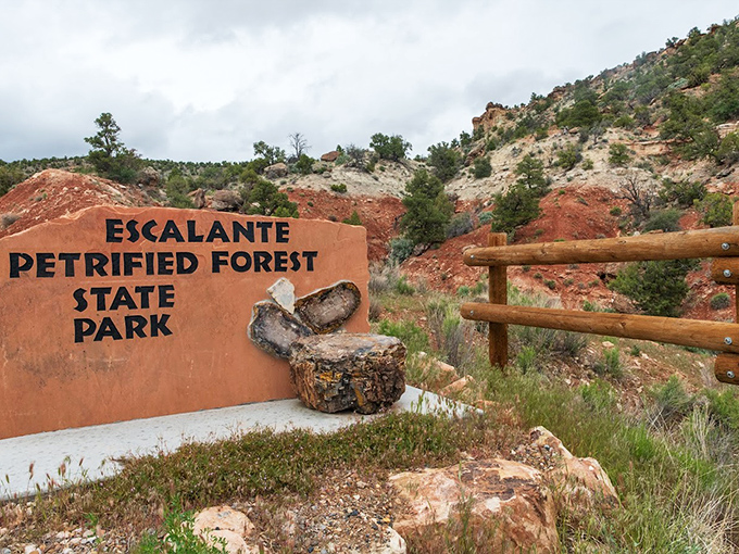 Escalante Petrified Forest: Nature's jigsaw puzzle of red rocks and desert plants. Every view feels like a new discovery.