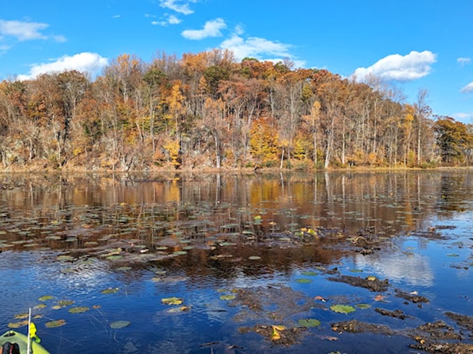 The stunning autumn hillsides of Jenny Jump State Forest reflect perfectly in the calm lake waters, creating a double dose of fall beauty.