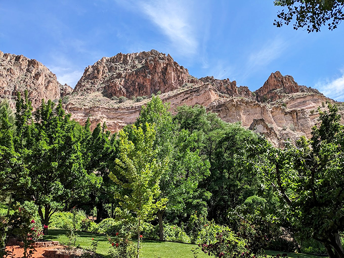 Kershaw-Ryan's lush oasis nestled beneath towering red cliffs&mdash;proof that Mother Nature occasionally likes to surprise us with impossible contrasts.