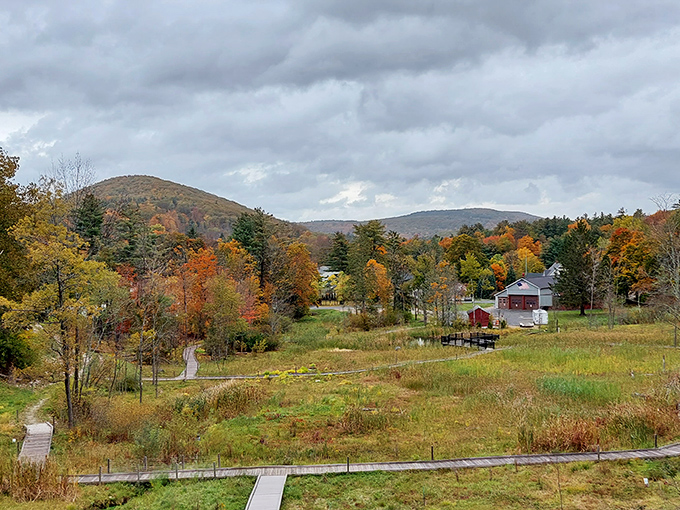 Norfolk's stunning natural beauty comes free of charge. Those million-dollar views don't require a million-dollar budget!