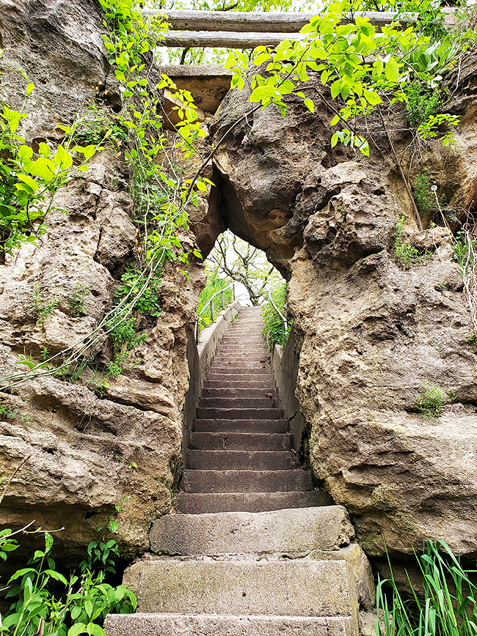 Serenity with a view! This peaceful bend in the Cedar River at Palisades-Kepler practically begs for a fishing line.