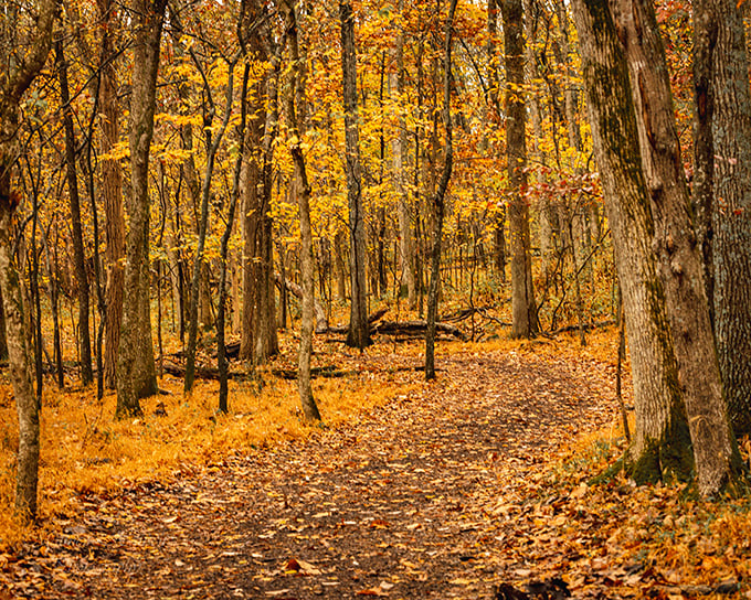 That historic building has seen more Tennessee drama than a country music songwriter's divorce.