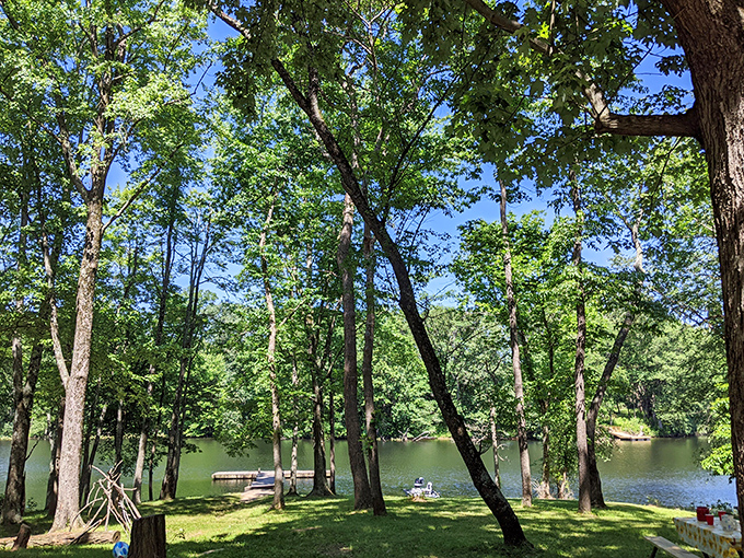 Sunlight filters through emerald canopies, painting the lake with shimmering reflections. Instant stress relief, no prescription needed.