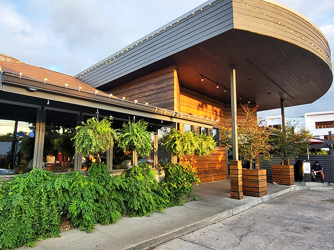 Urban Grub's modern wooden curves and lush greenery &ndash; where seafood gets the architectural setting it deserves, like shellfish in a designer shell.