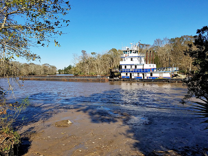 This majestic red brick church watches over Abbeville like a benevolent grandmother, arms open to all who seek solace.
