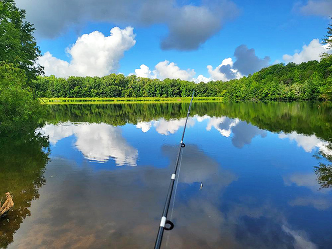 A mirror-like lake that reflects both sky and your suddenly calmer state of mind at Andrew Jackson State Park.