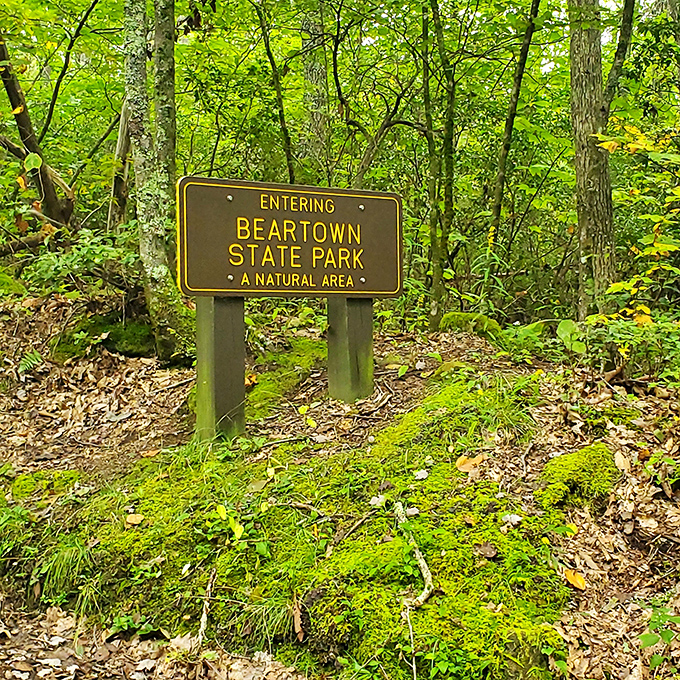 Beartown's sign promises adventure in a natural area that feels like stepping into a fairy tale.