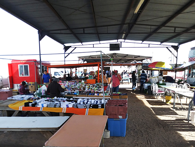 The desert sun casts long shadows as shoppers hunt for bargains under Big Daddy's protective canopy.