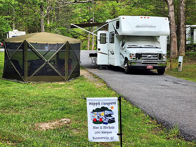 Happy campers know the secret—Camp Creek's riverside sites offer front-row seats to nature's greatest show: rushing water and starry skies.